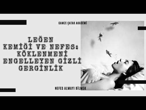 Nefes Almayı Bilmek (8.Bölüm)  |  Leğen Kemiği ve Nefes: Köklenmeni Engelleyen Gizli Gerginlik