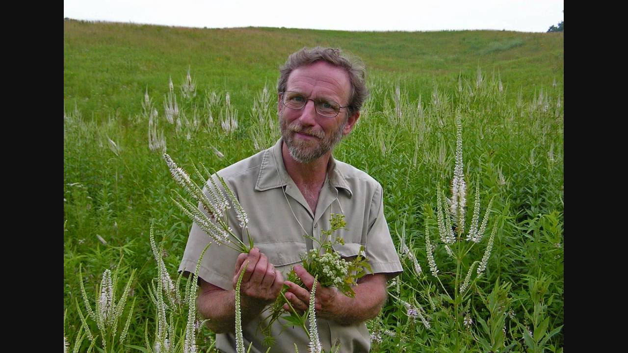 AntsCanada and Dr. James Trager Talk Ants: Exclusive Interview with the ...