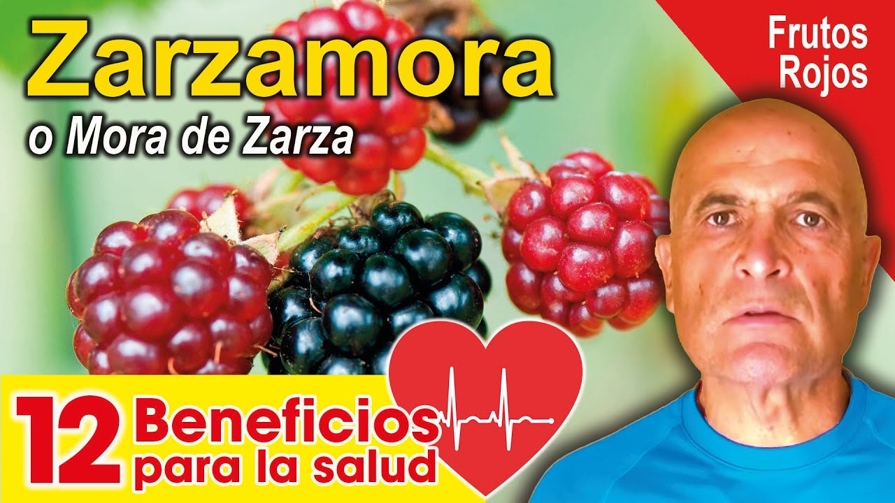 ZARZAMORA O MORA 🍇 . 12 Beneficios para la salud. 💚 - YouTube
