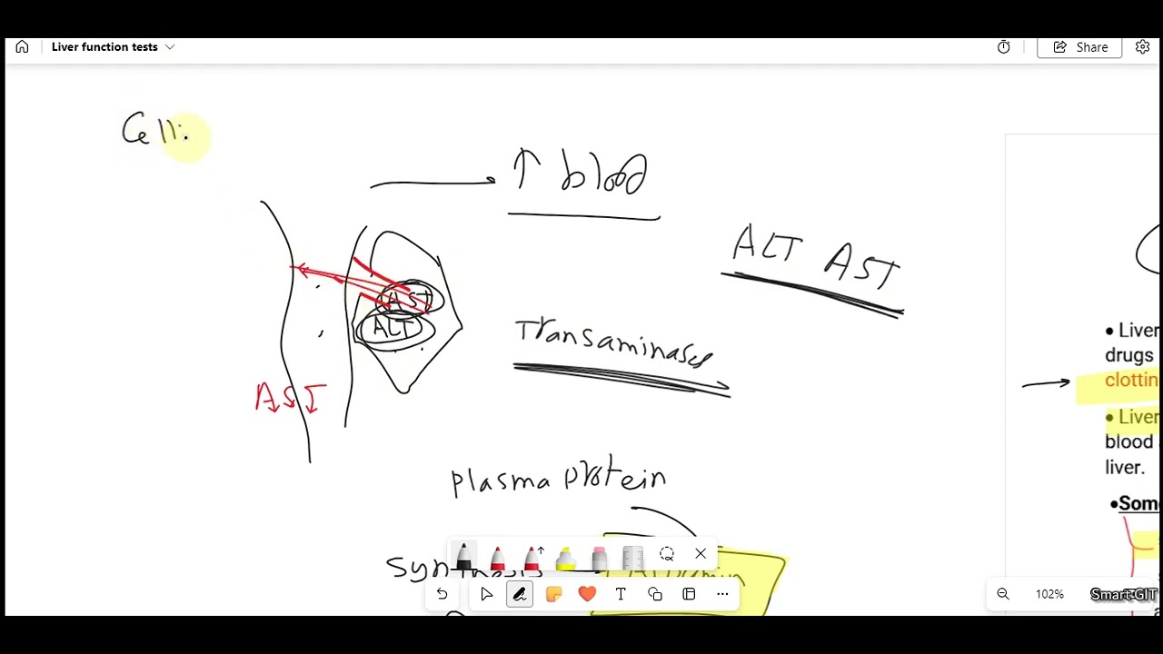 Liver function tests, 3rd year, Bio practical GIT - YouTube