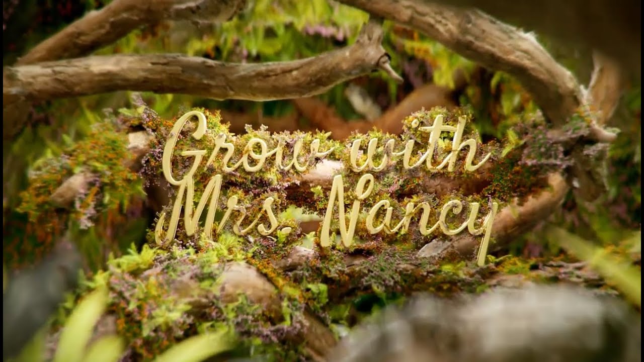 Grow with Mrs Nancy-Intro - YouTube