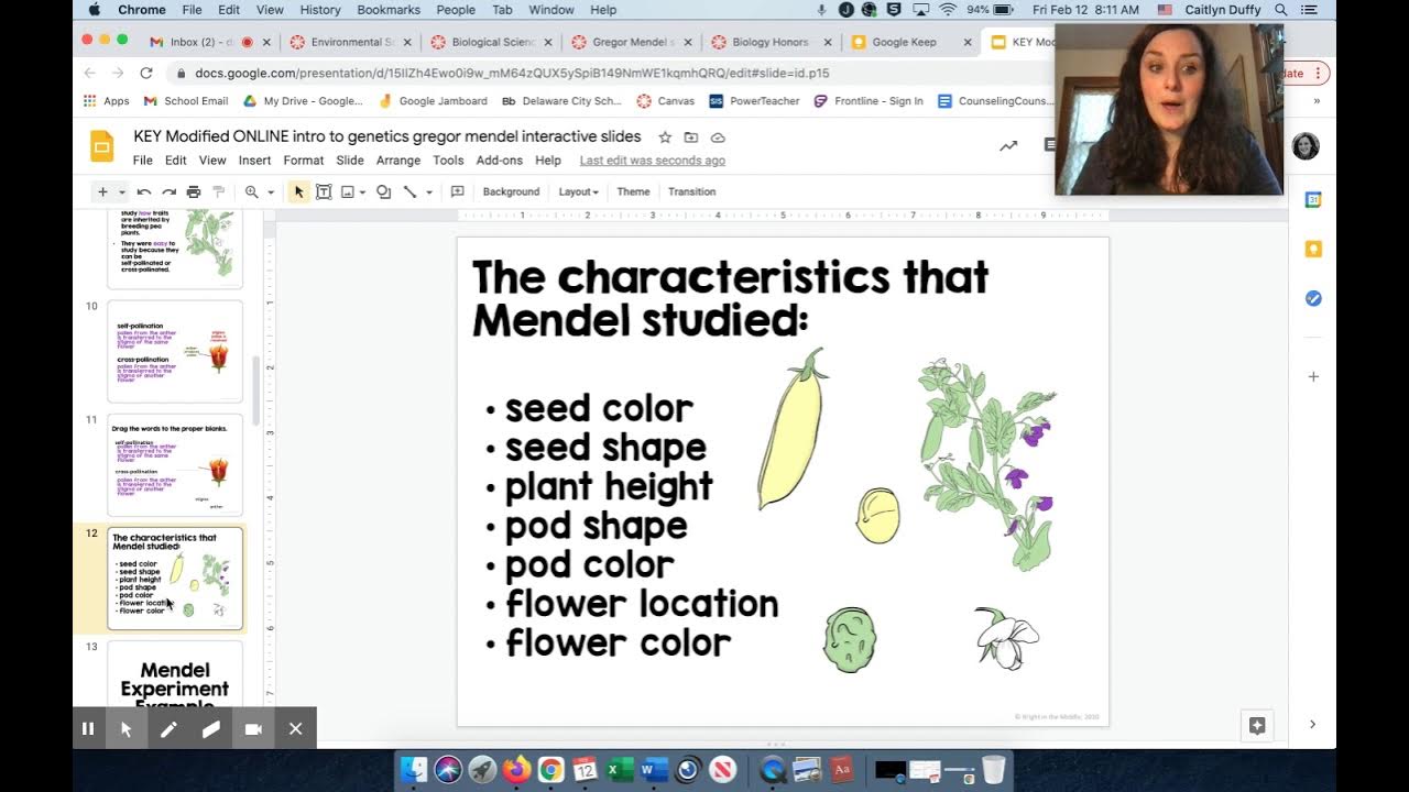 Introduction to Genetics: Gregor Mendel Interactive Slides - YouTube