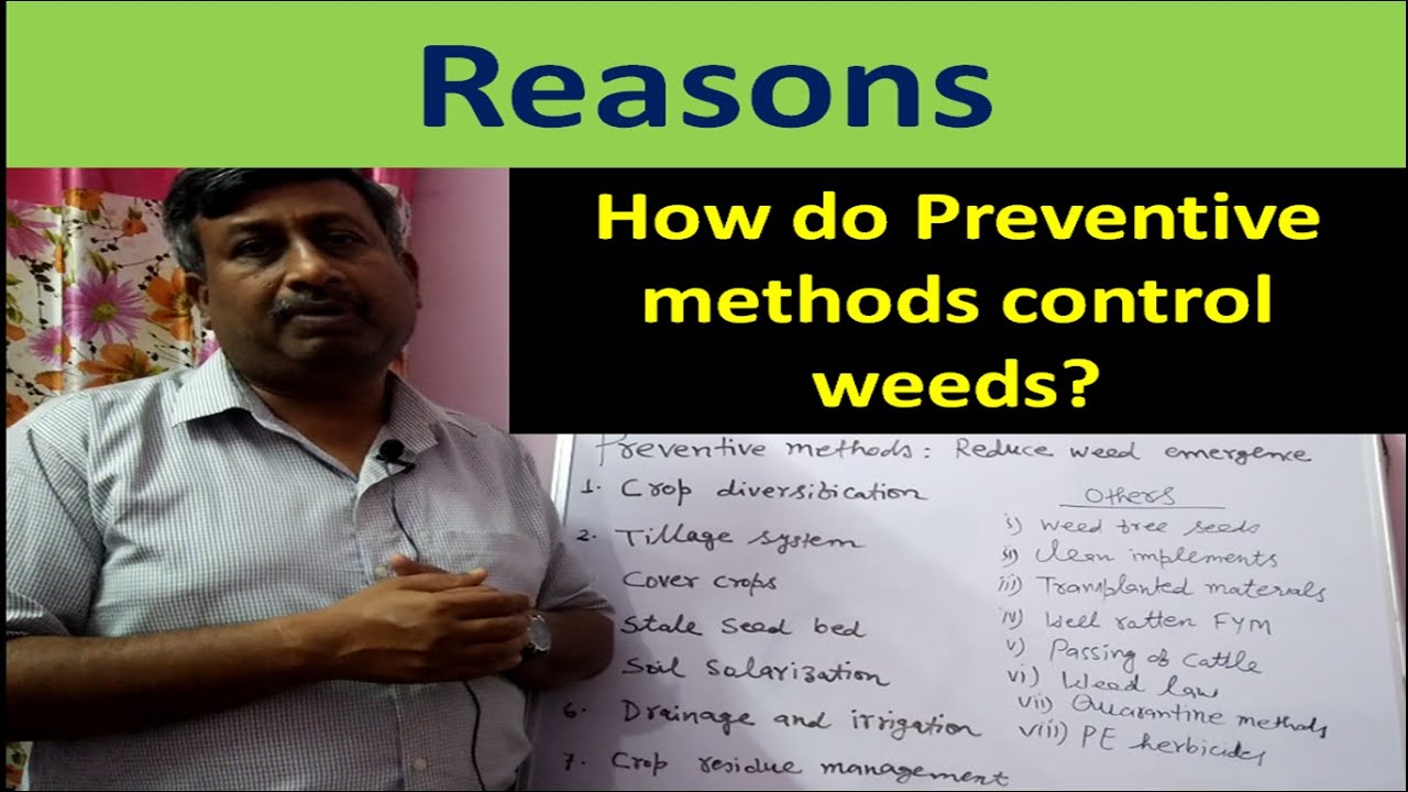 Reasons: How do Preventive Methods Control Weeds? - YouTube