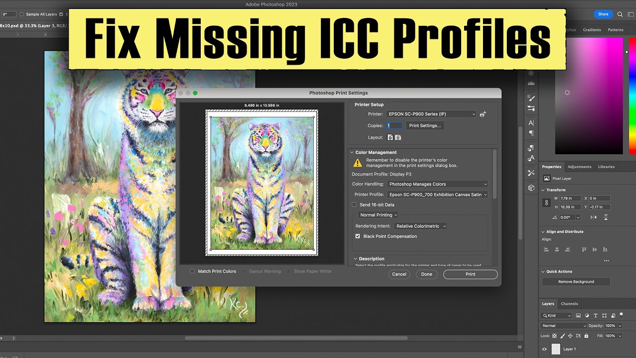 How to Fix Missing Epson ICC Profiles in Photoshop After macOS Update ...
