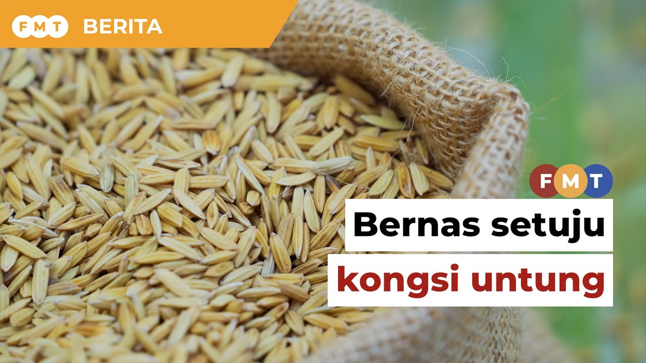 Belanjawan 2023: Bernas setuju kongsi untung import beras dengan ...