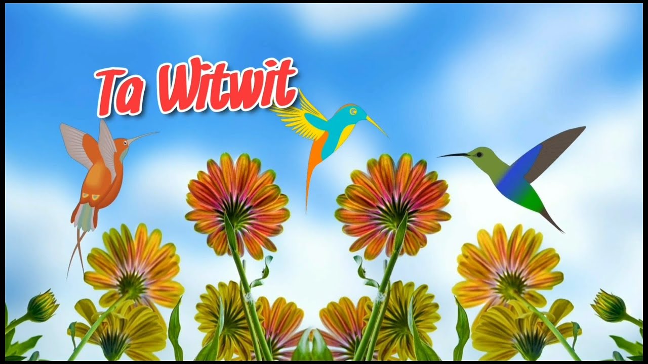 Ta Witwit's broadcast - YouTube