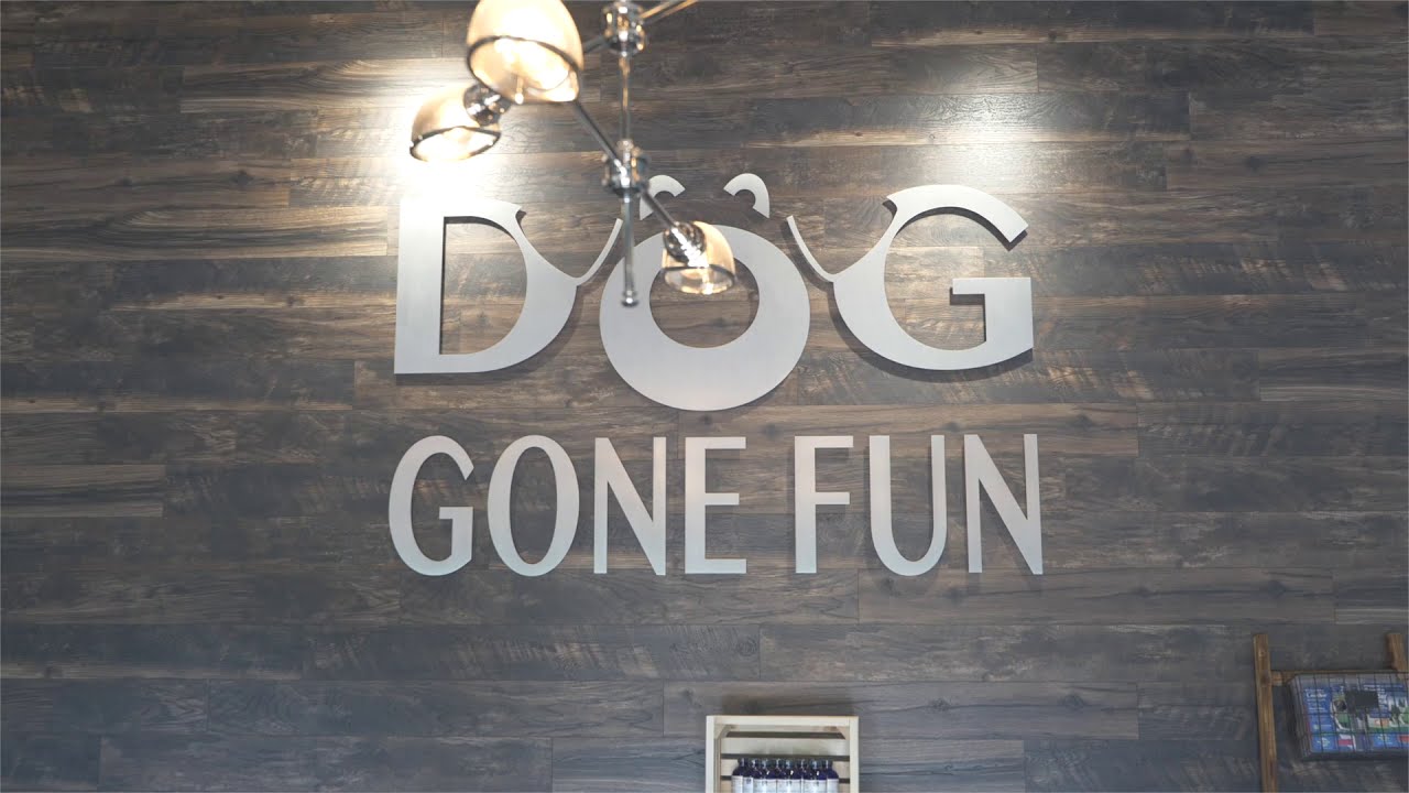 Now Open! | Dog Gone Fun MI | Your Dog's Home Away From Home - YouTube