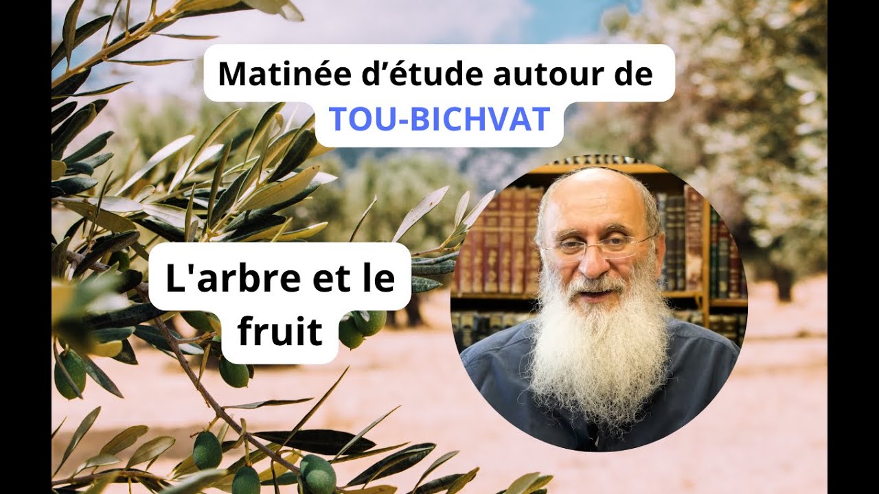 Découvrir la symbolique de l'arbre et du fruit à l'occasion de Tou ...