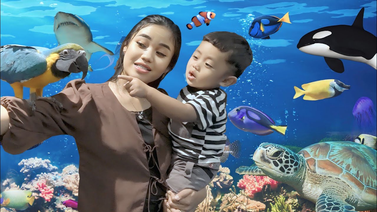 Rafasayah pergi ke aquarium laut raksasa ketemu hiu nemo - YouTube