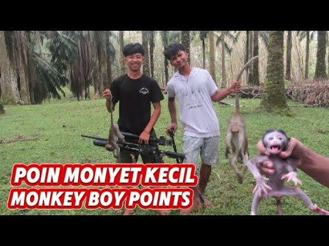 HUNTING MONKY, HELPING FARMES RUDUCE THE MONKEY PEST POPULATION - YouTube