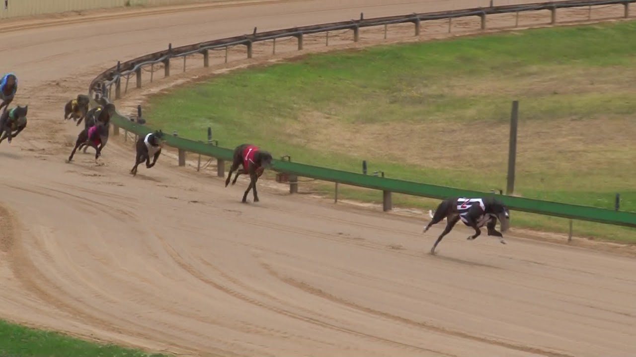 Mt-Gambier-05012020-Race-5 - YouTube