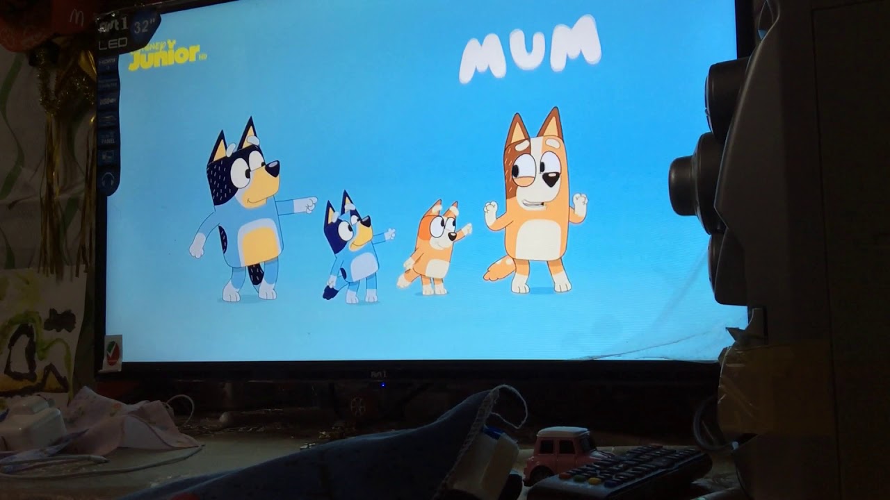 Bluey Theme Song - YouTube