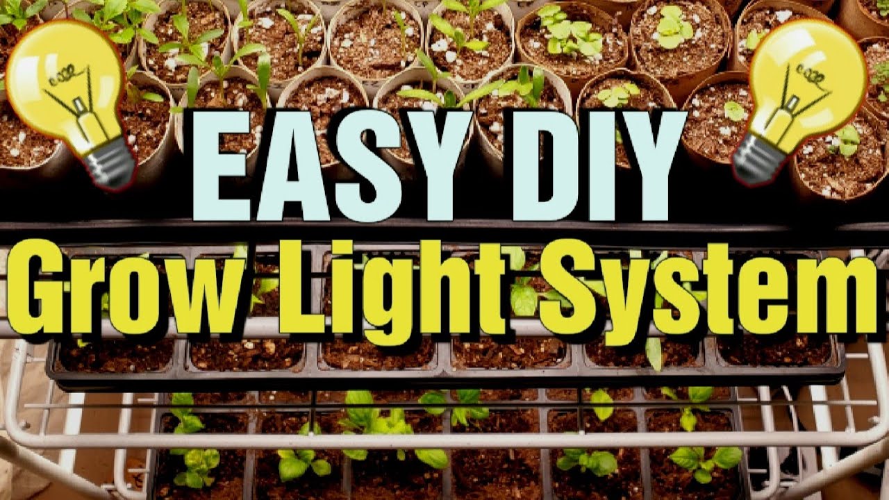 EASY DIY Grow Light System! + Seed Starting! - YouTube