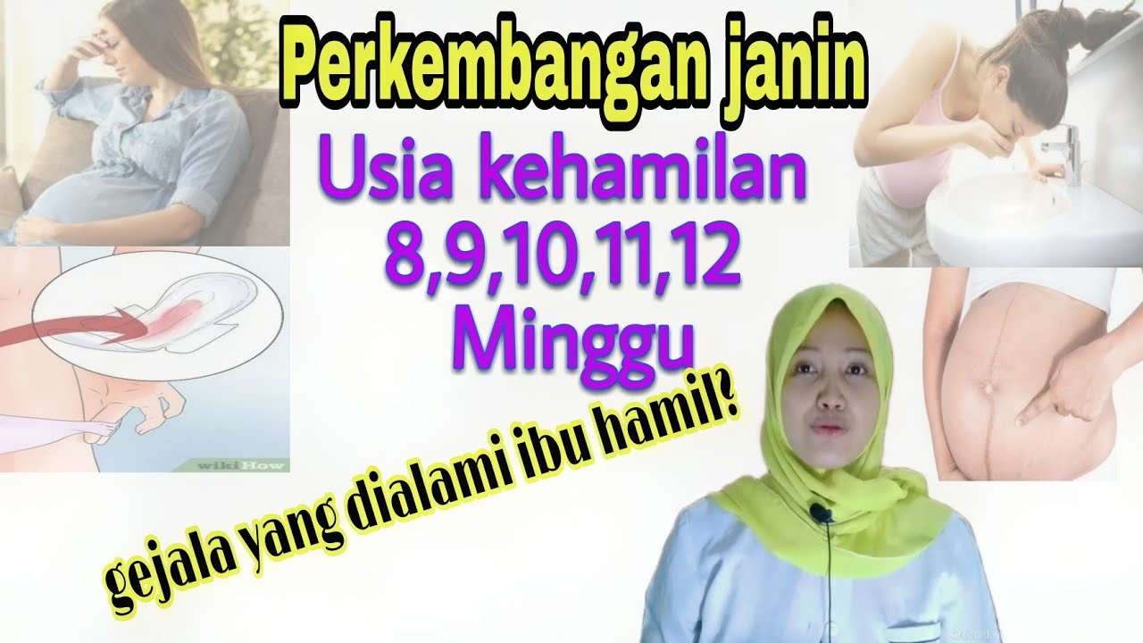 Perkembangan janin usia 8,9,10,11,12 Minggu & Gejala yang dialami ibu ...