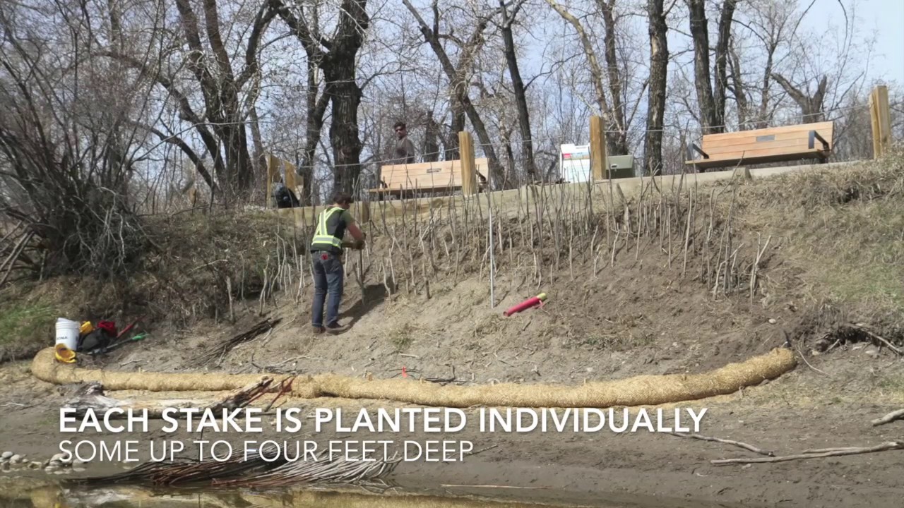 Riverbank stabilization and erosion control - YouTube
