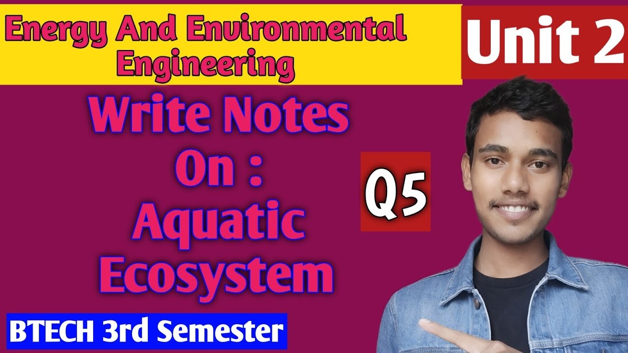 Aquatic Ecosystem | Write Short Notes on Aquatic Ecosystem ...