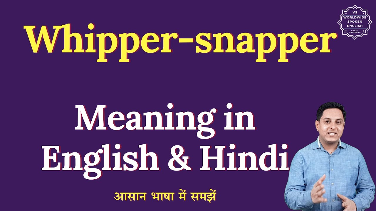 What does "Whipper snapper" mean? Explained meaning of "Whipper snapper ...