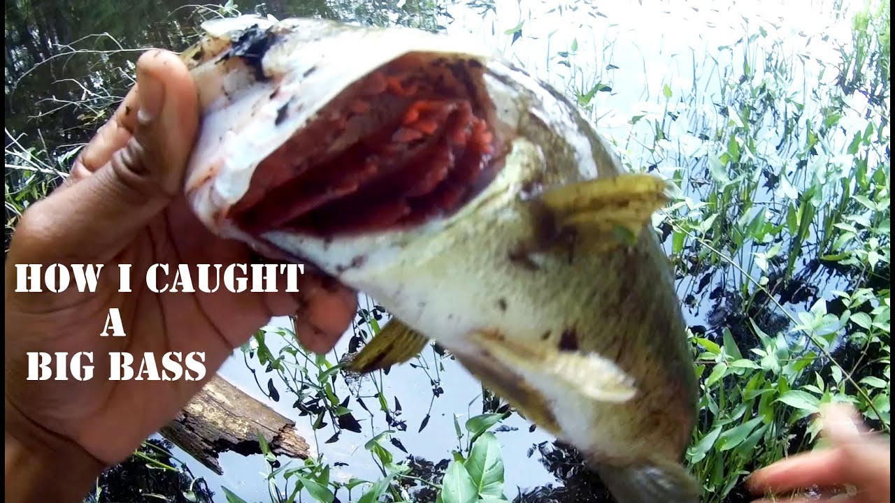 How I Caught A Big Bass - YouTube