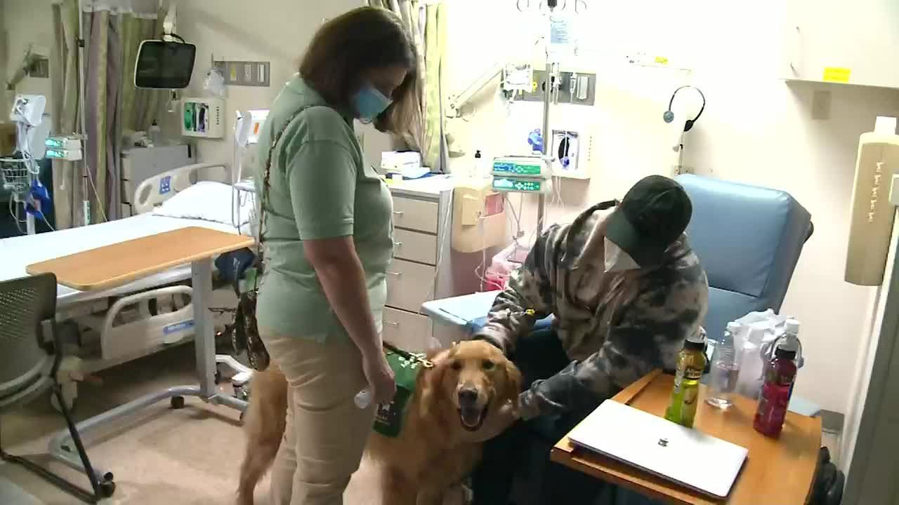 Therapy dogs lift cancer patients’ spirits over holiday week, more ...
