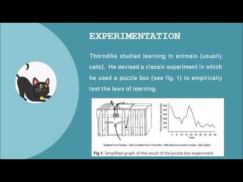 THE LAW OF EFFECT - Edward Thorndike - YouTube