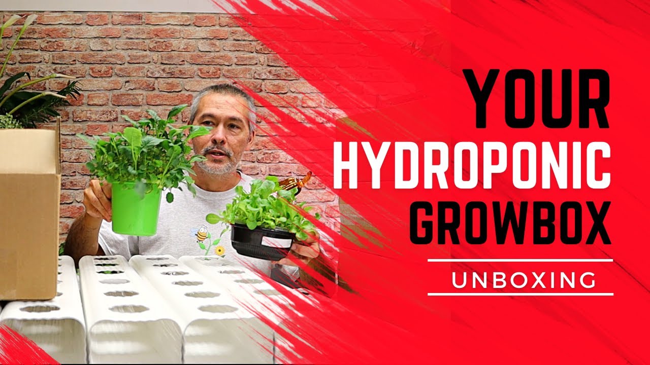 Very Important Info about your Hydroponic Growbox, How to Get One, DIY ...