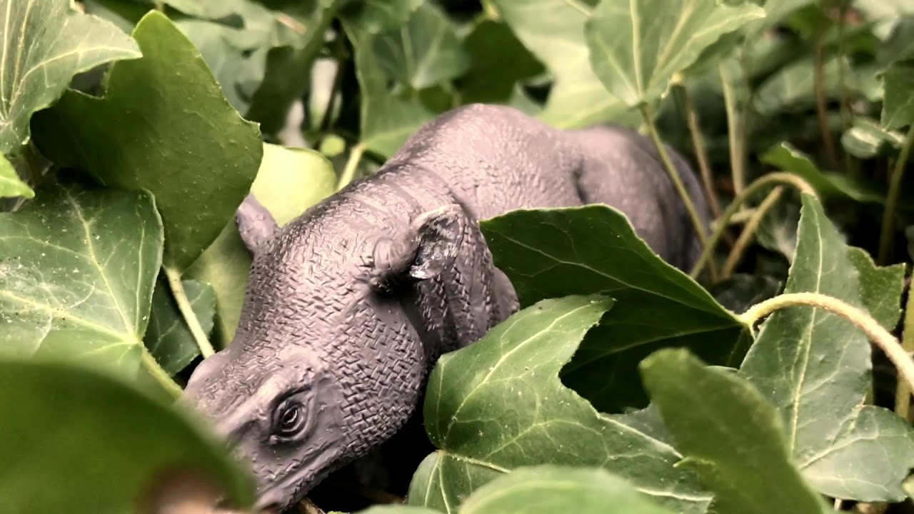 Cenozoic Teaser #2 The Worlds Deadliest Predator - YouTube