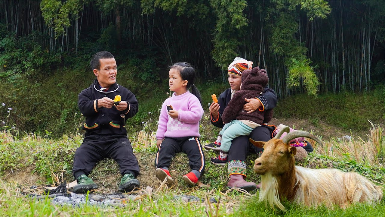 Dwarf Family Herding Goats in the Field and Growing Mushrooms ...