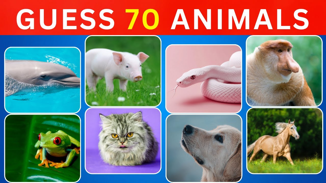 Can You Guess All 70 Animals? 🐾 | Ultimate Animal Quiz - YouTube