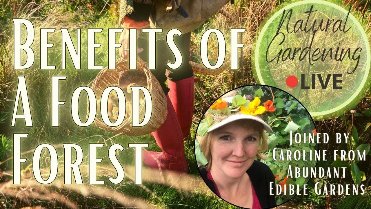 Growing a Forest Garden with Caroline Scott : Natural Gardening Live ...