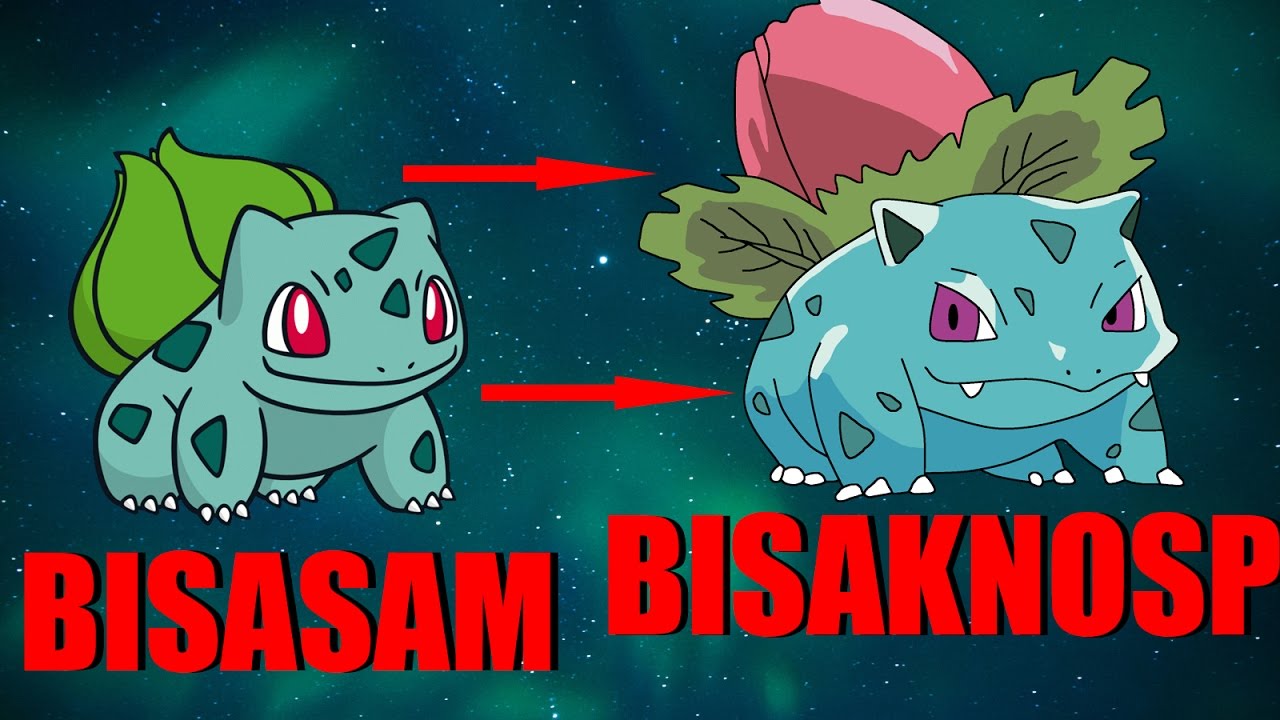 Bisasam Entwicklung zu Bisaknosp / Bulbasaur evolution to Ivysaur ...
