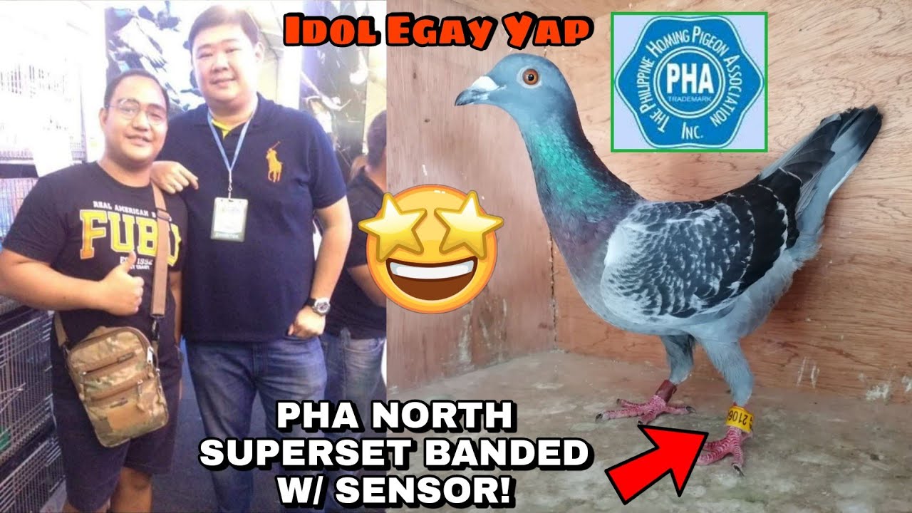 DIRECT EGAY YAP BIRD KINUHA NG TROPA NATIN, CHAMPION LINE AT NAKA PHA W ...