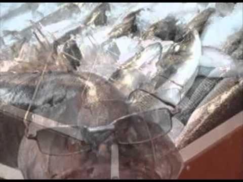 İnsanlar Balık gibidir    Balık sudan çıkınca ; İnsan da İnsanlıktan çıkınca ÖLÜR