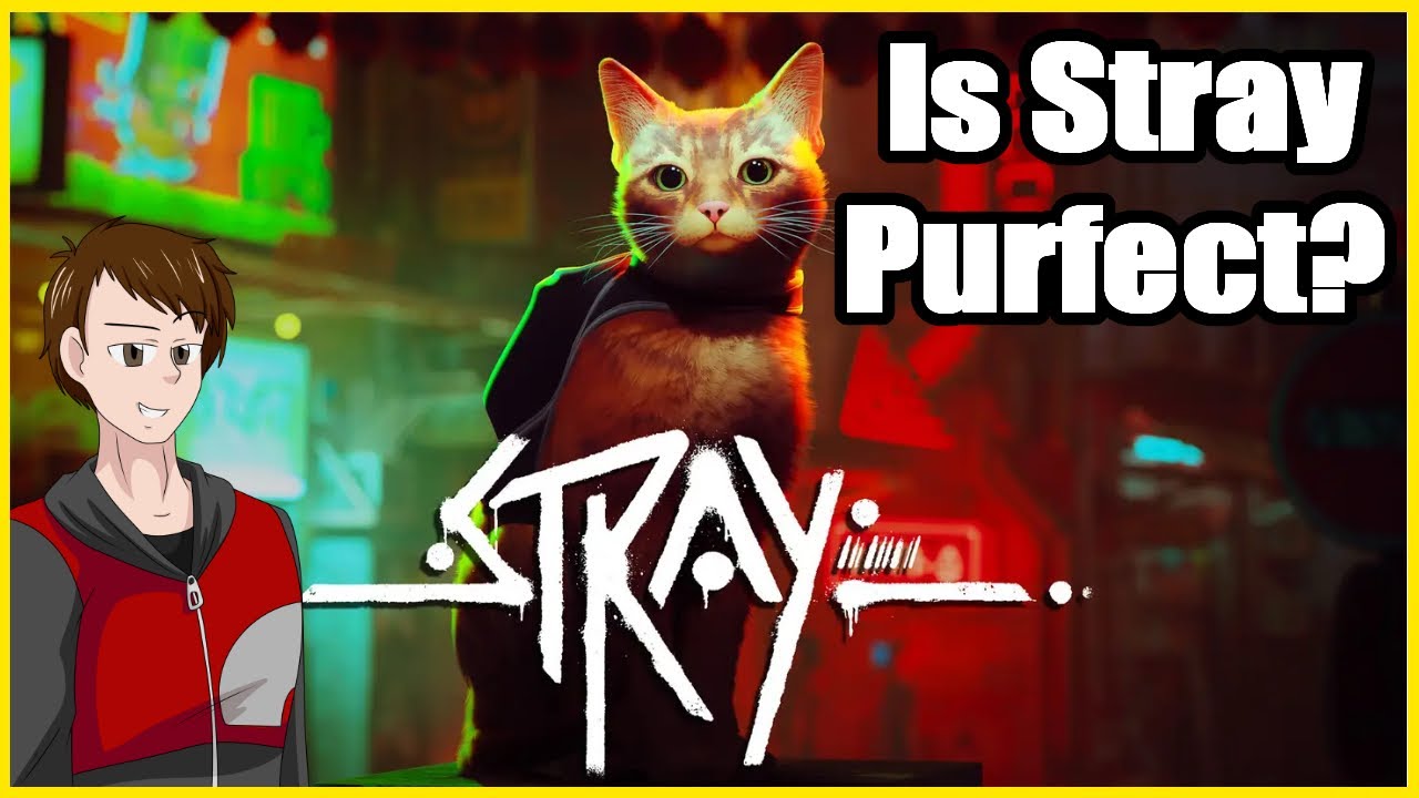 Is Stray a Perfect game? Video Game Review - YouTube