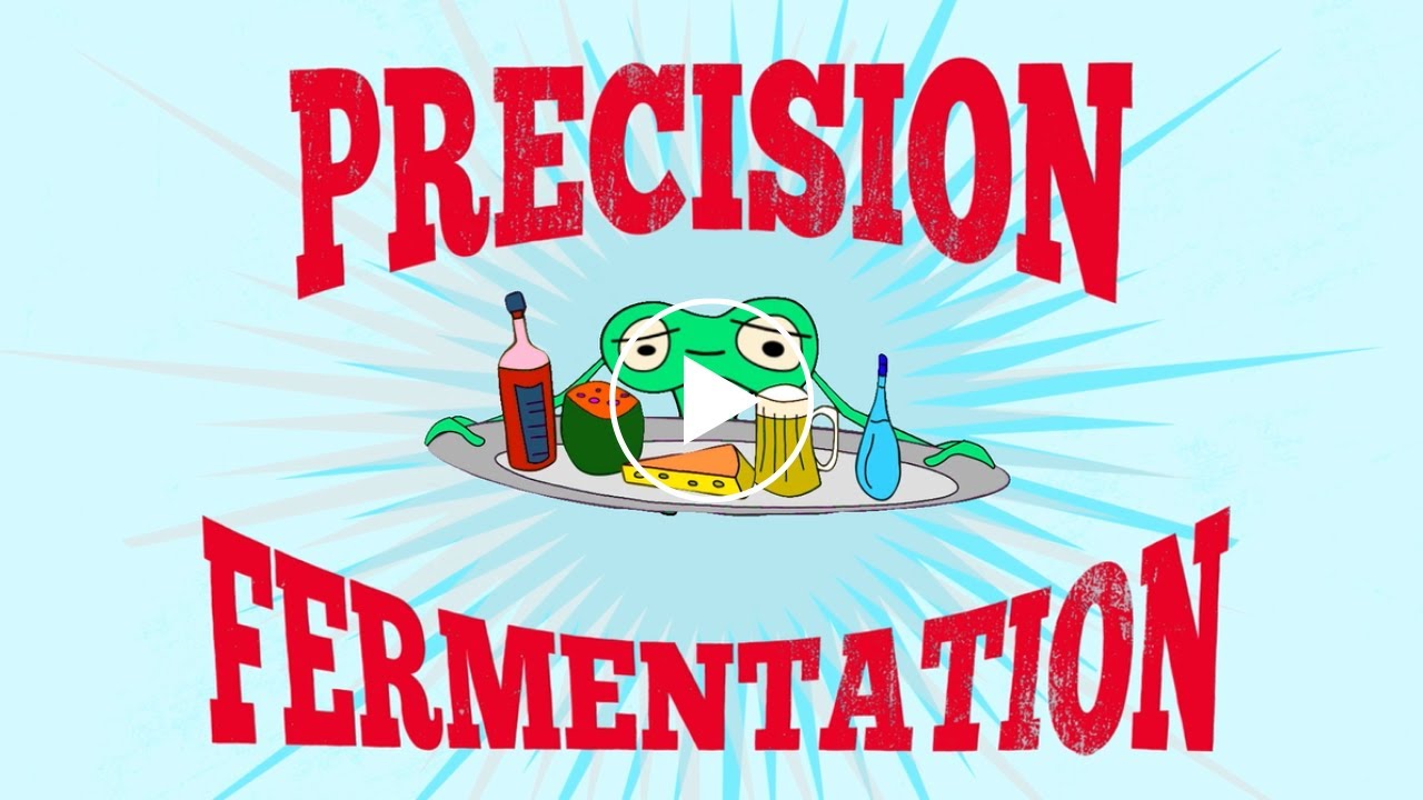 What is Precision Fermentation? - YouTube