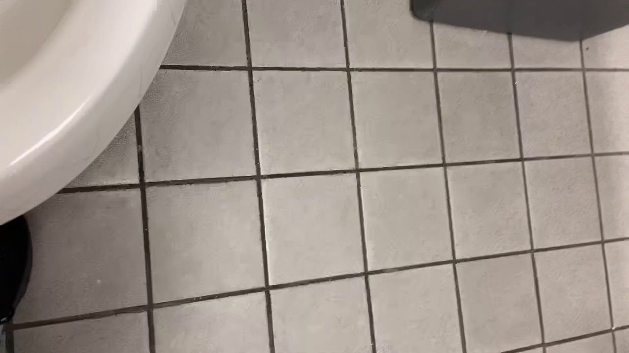 [523] Ross Women’s Restroom (Half shoot) - YouTube