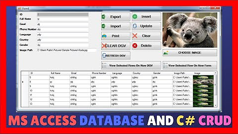 (CRUD) C# And Microsoft Access Database Tutorial - Insert Update Delete Select Display On ...