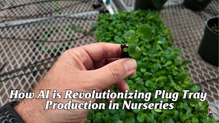 How AI is Revolutionizing Plug Tray Production in Nurseries