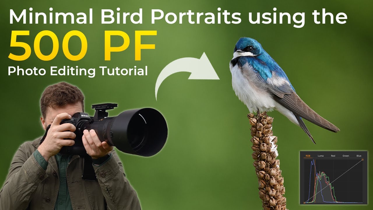 How I Edit a Minimal-Style Bird Portrait (Photo Edit Friday) - YouTube