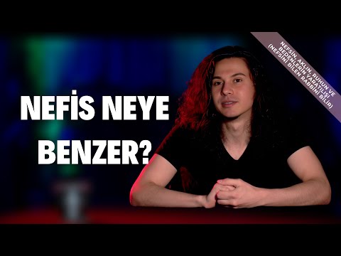 Nefis Neye Benzer?