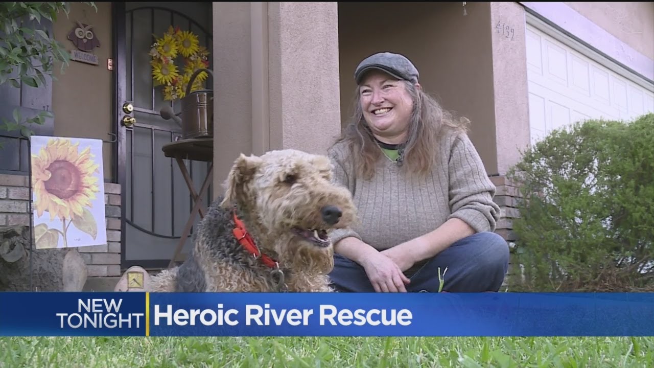 Good Samaritan Saves Woman and Her Dog in Heroic River Rescue CBS ...