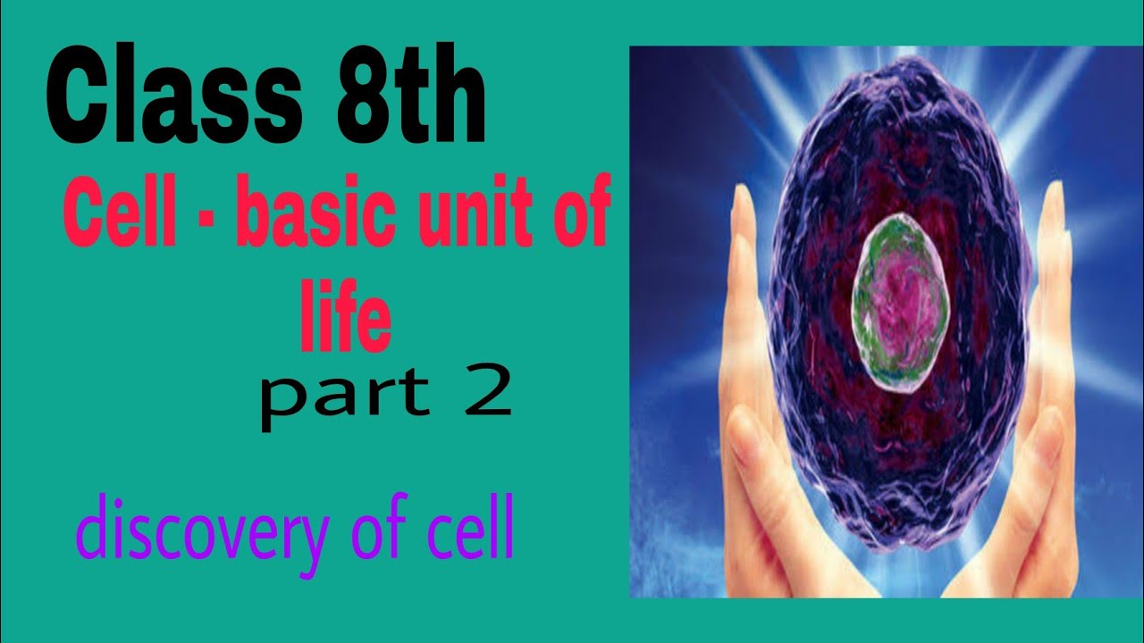 Cell - basic unit of life ( 8th class ) - YouTube