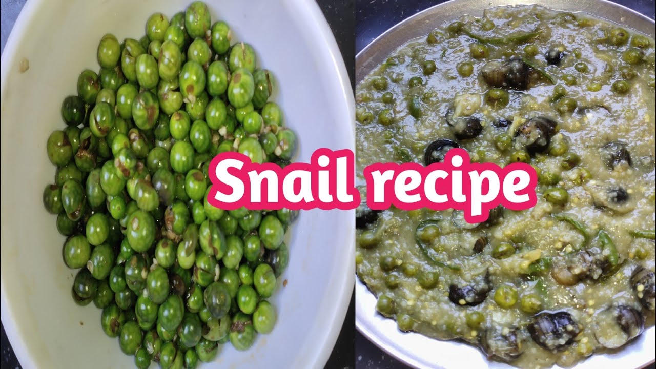 Khamka by Sikamuk Awandru |Tripuri Dish| Snail Recipe #chamelirecipes # ...