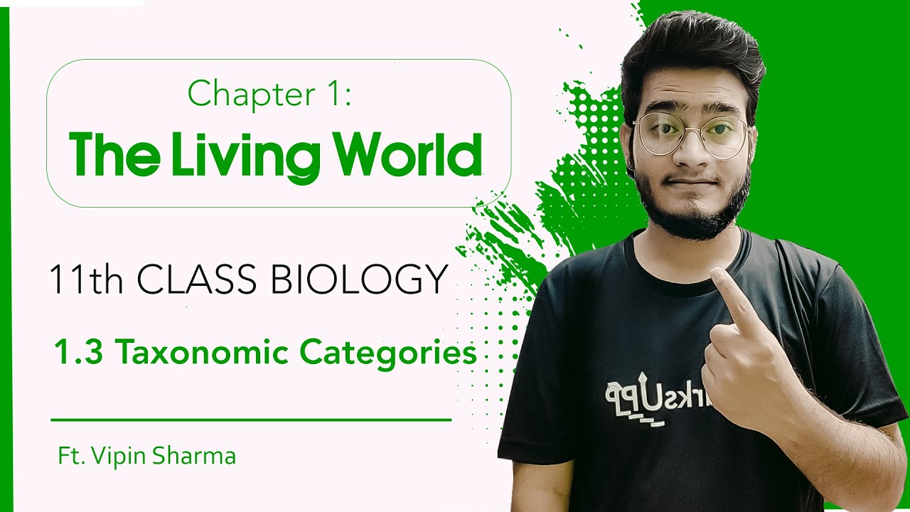 1.3 Taxonomic Categories | The Living World | 11th Class Biology for ...