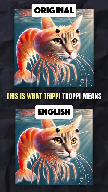 Trippi Troppi English Translation #italianbrainrot #memes #funny - YouTube