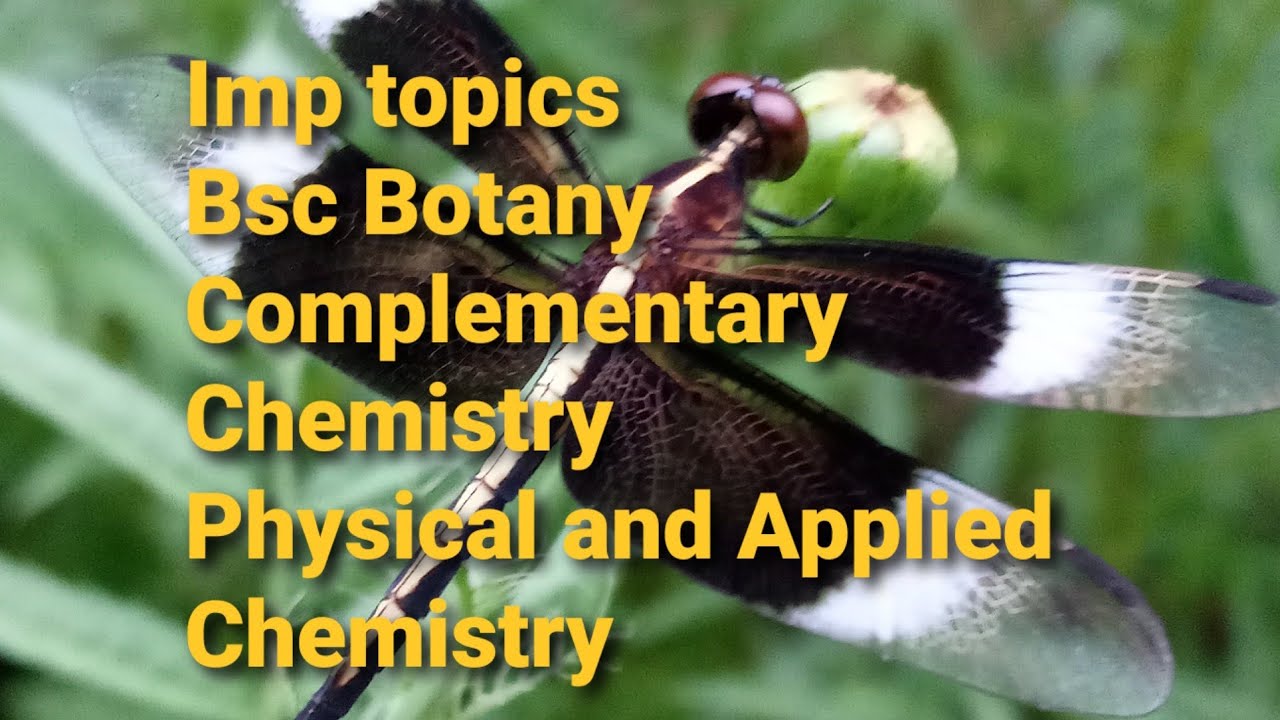 PHYSICAL AND APPLIED CHEMISTRY BSC BOTANY COMPLEMENTARY CHEMISTRY ...