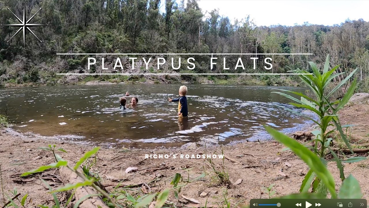 FROM THE ARCHIVES PLATYPUS FLATS COFFS HARBOUR - A FAILED CAMPING TRIP - HOW TO SEASON YOUR SWAG ...