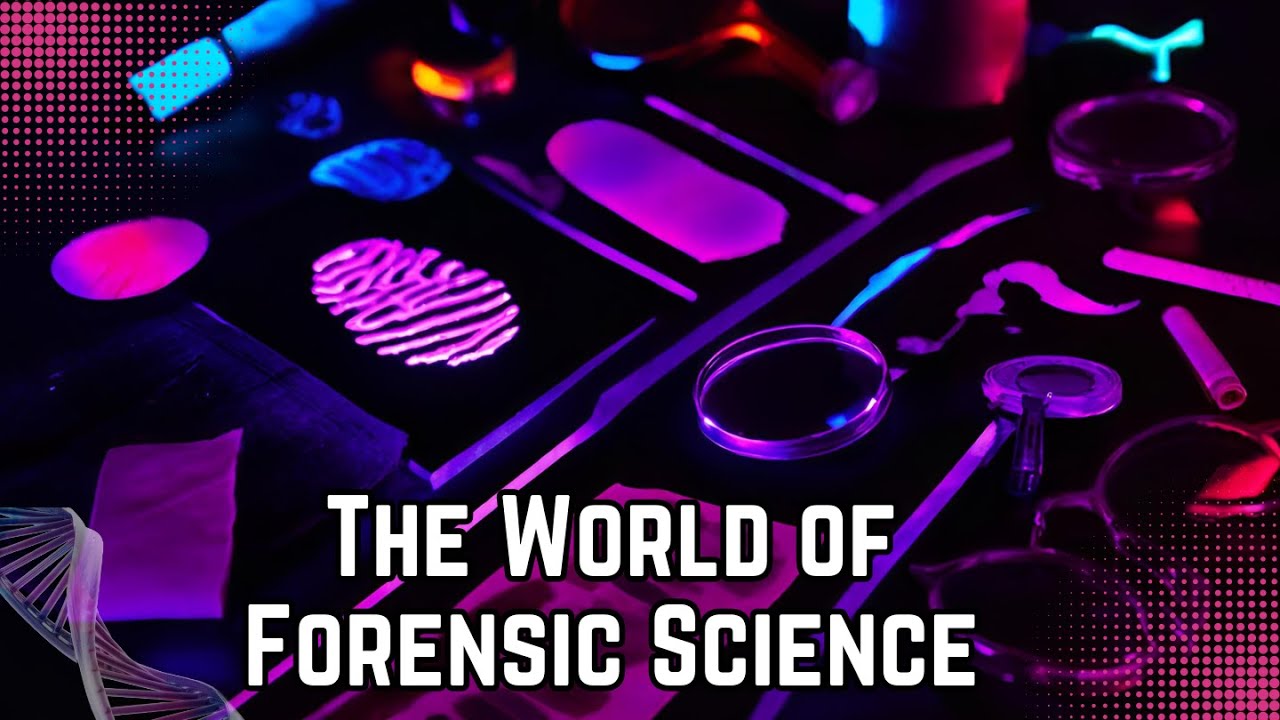 Forensic Investigations: The World of Forensic Science - YouTube