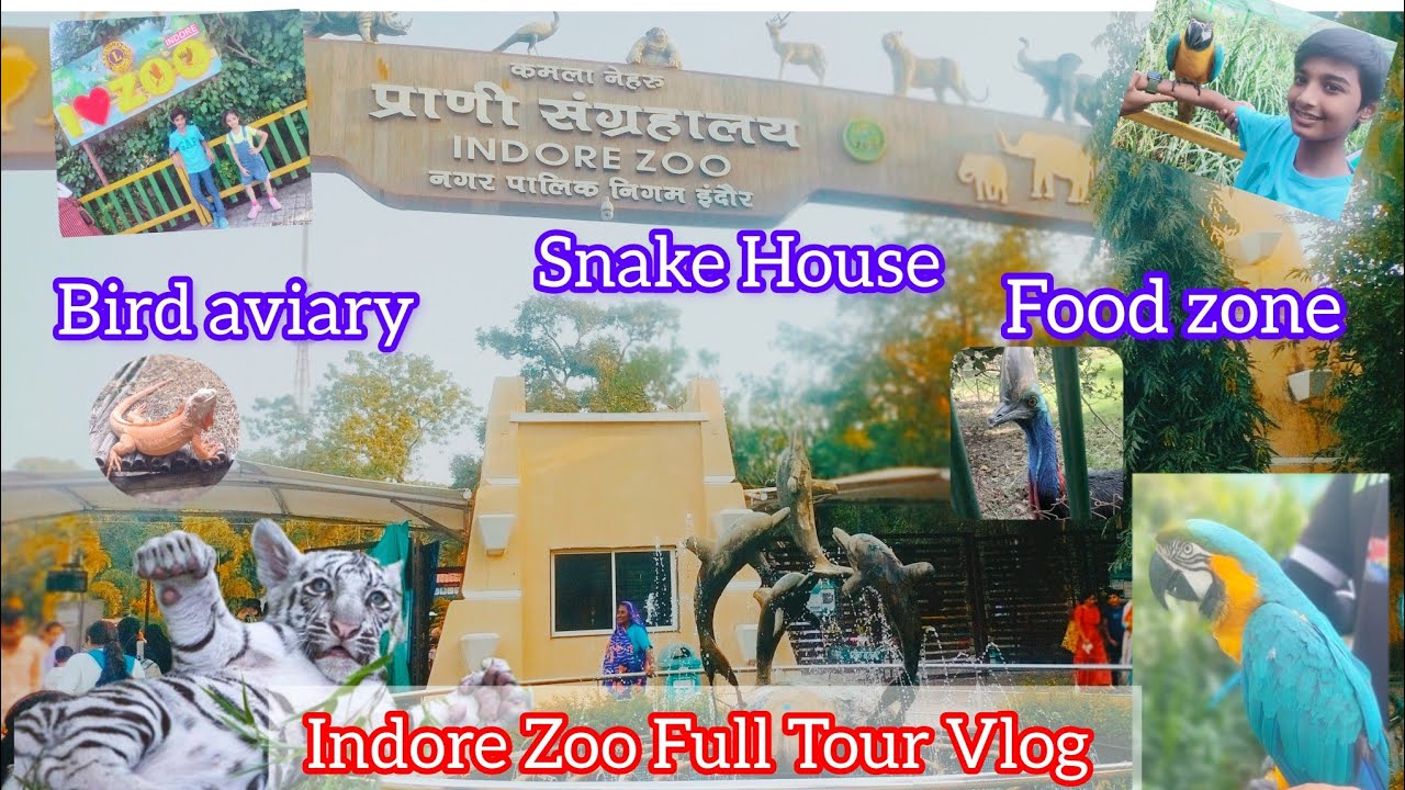 Indore Zoo Full Tour Vlog | Indore Chidiya Ghar Full Tour Bird Aviary ...