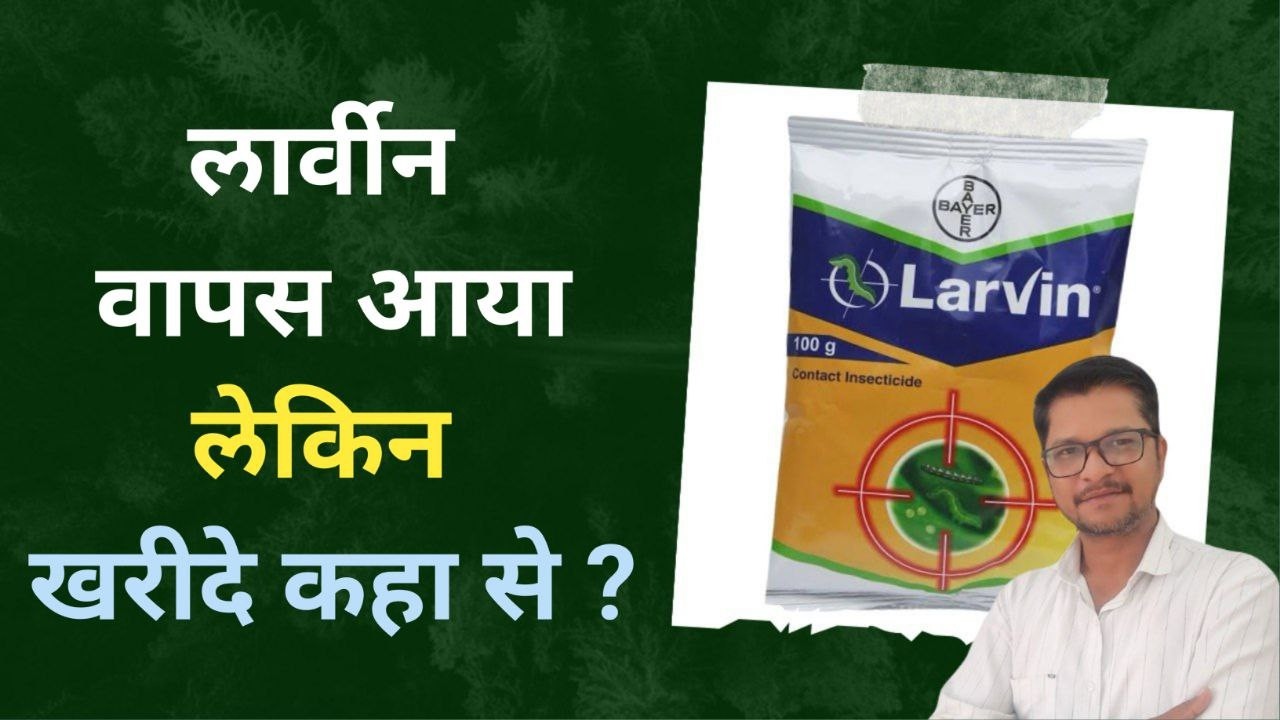 किटको का काल लार्विन वापस आया | best insecticide | Thiodicarb - YouTube