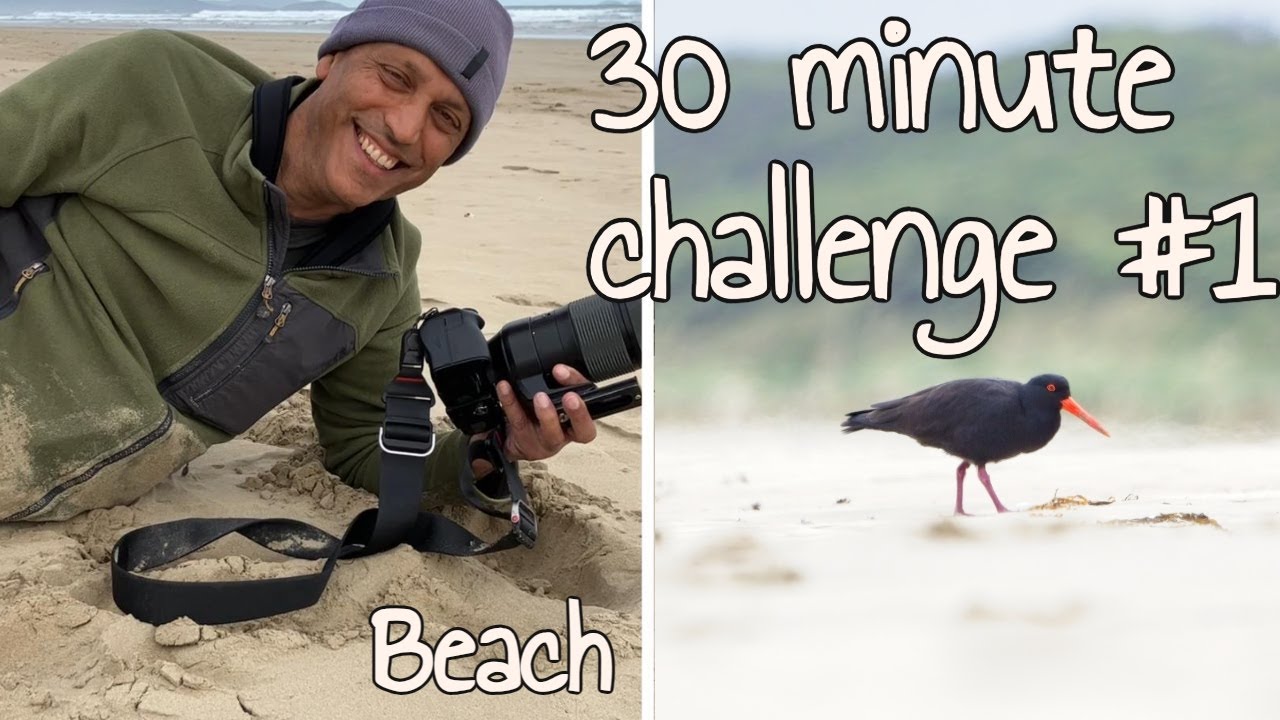 30 MINUTE WILDLIFE PHOTOGRAPHY CHALLENGE (1) - YouTube